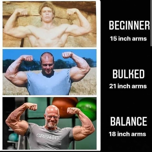 BEGINNER 15 inch arms BULKED 21 inch arms BALANCE 18 inch arms - iFunny