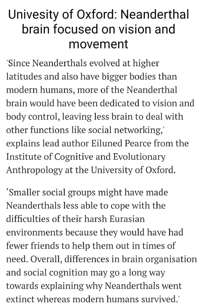 Univesity of Oxford: Neanderthal brain focused on vision and movement 'Since Neanderthals ...