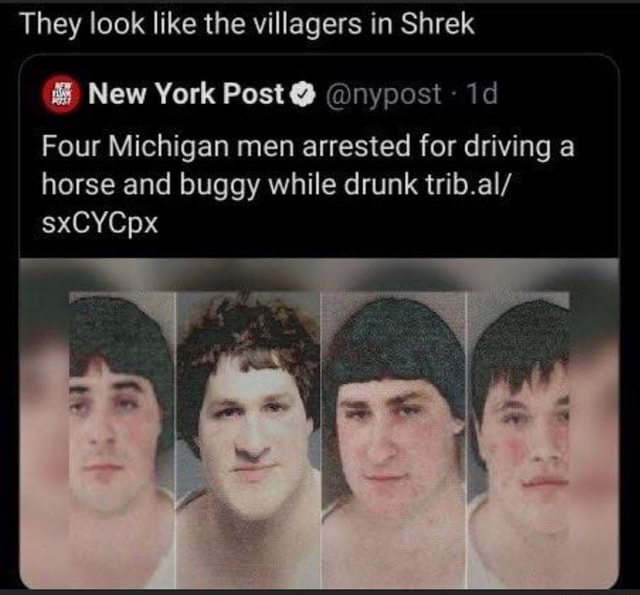 They look like the villagers in Shrek Four Michigan men arrested for ...