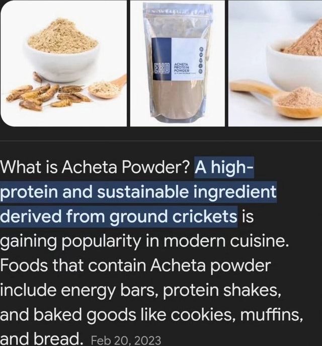 What is Acheta Powder? A high- protein and sustainable ingredient ...