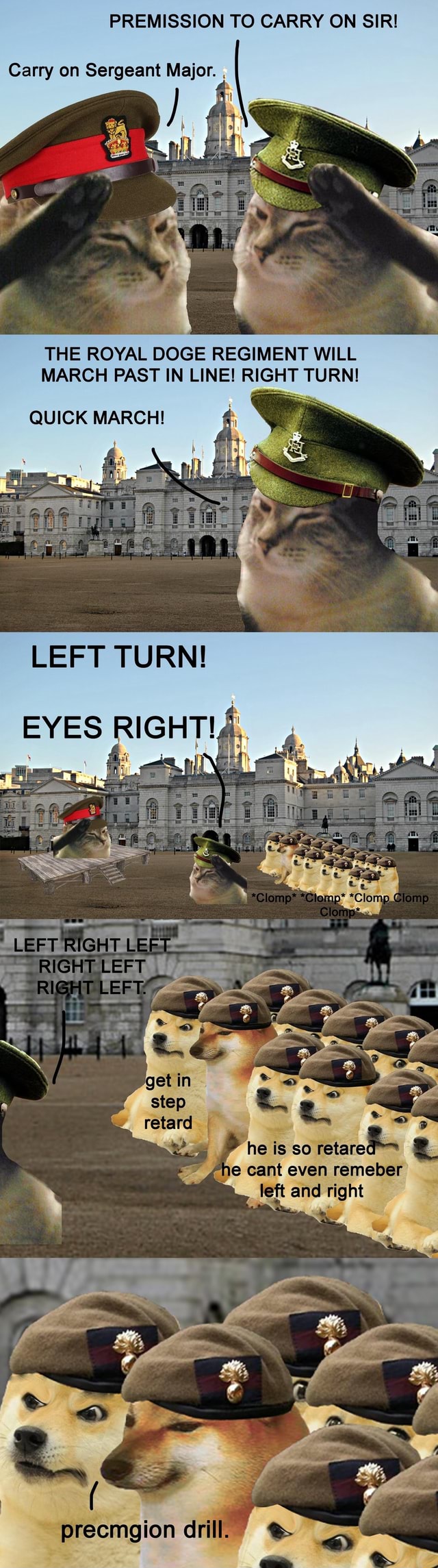 PREMISSION TO CARRY ON SIR! Carry on Sergeant Major. THE ROYAL DOGE ...