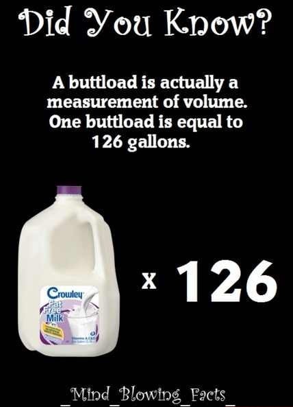 Did You Know A Buttload Is Actually A Measurement Of Volume One 