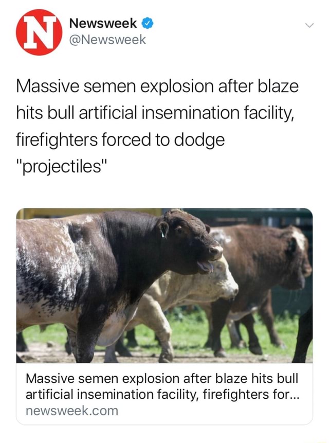 Massive semen explosion after blaze hits bull artificial insemination ...