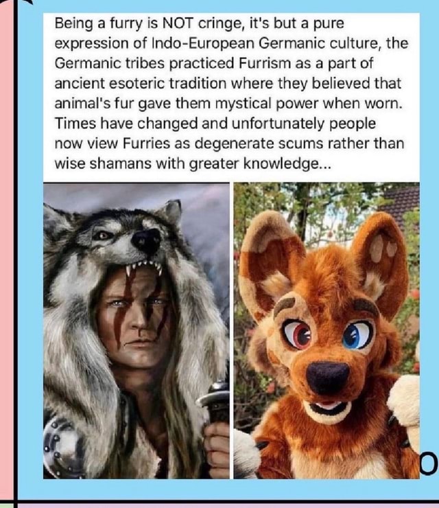 Being a furry is NOT cringe, it's but a pure expression of European ...