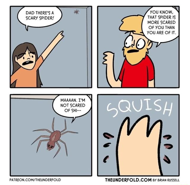 DAD THERE'S A YOU KNOW, SCARY SPIDER/ THAT SPIDER IS MORE SCARED OF YOU ...
