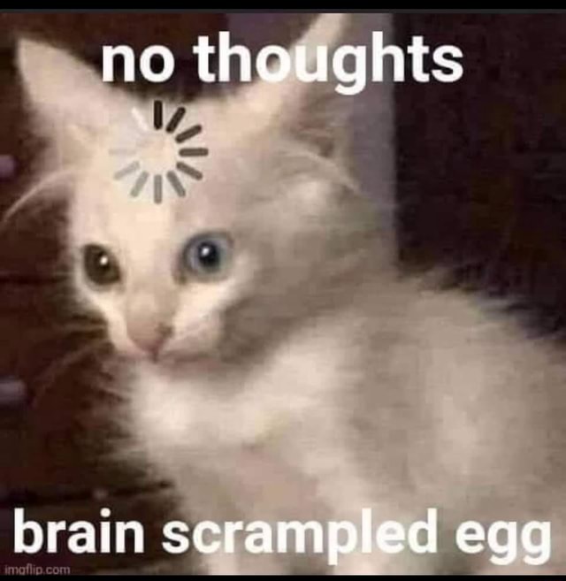 No thoughts brain scrampled egg - iFunny