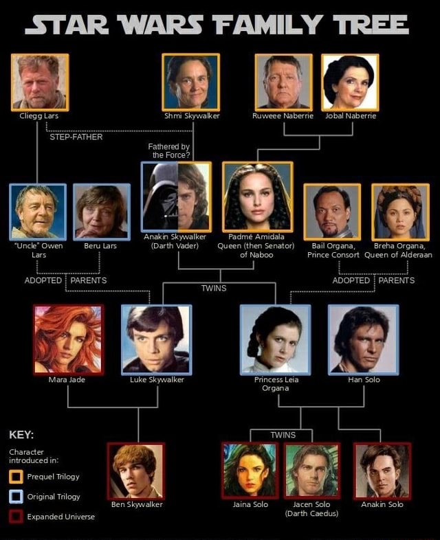 STAR WARS FAMILY TREE Cliegg Lars Shmi Skywakker Ruweee Nabernie Jobal ...