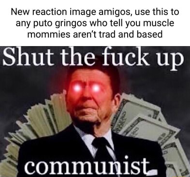New reaction image amigos, use this to any puto gringos who tell you ...
