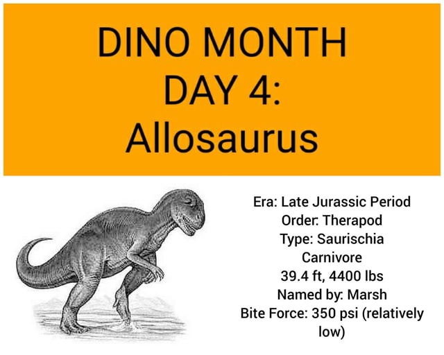 DINO MONTH DAY 4: Allosaurus Era: Late Jurassic Period Order. Therapod ...