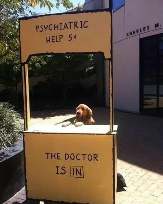 PSYCHIATRIC HELP THE DOCTOR IS {iN] - iFunny