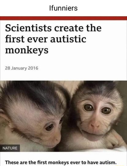 Ifunniers Scientists create the first ever autistic monkeys 28 January ...