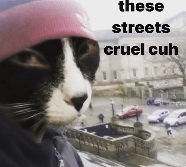 These streets cruel cuh - iFunny