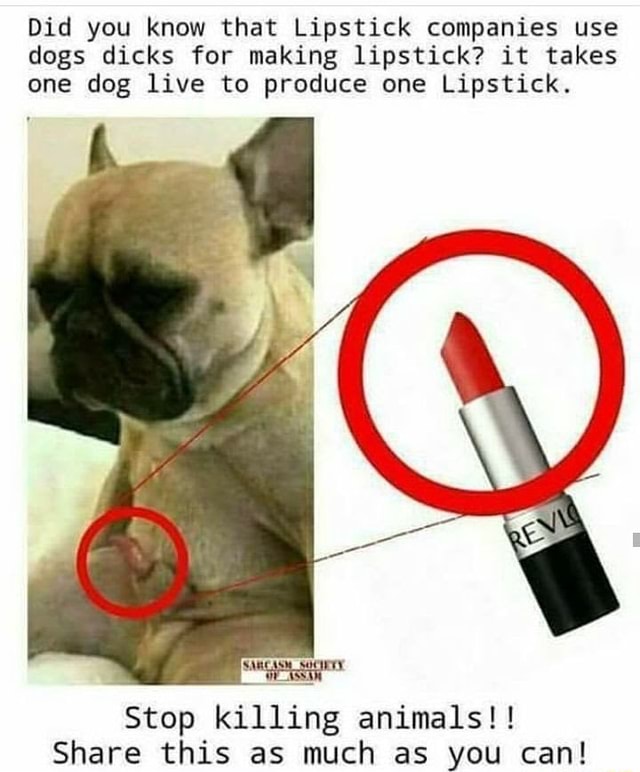 Did you know that Lipstick companies use dogs dicks for making lipstick ...