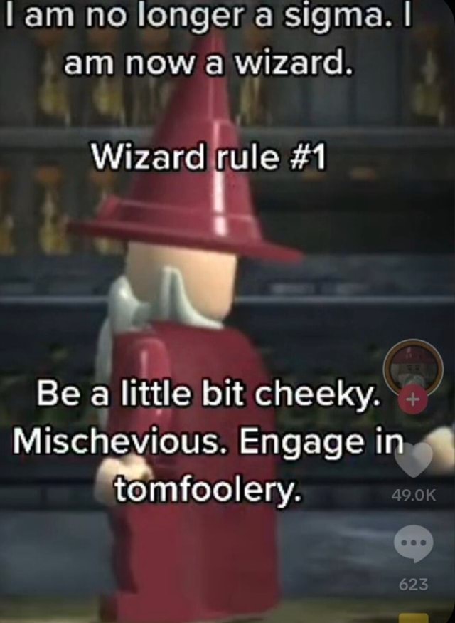 Lam no longer a sigma. I am now a wizard. Wizard rule #1 Be a little ...
