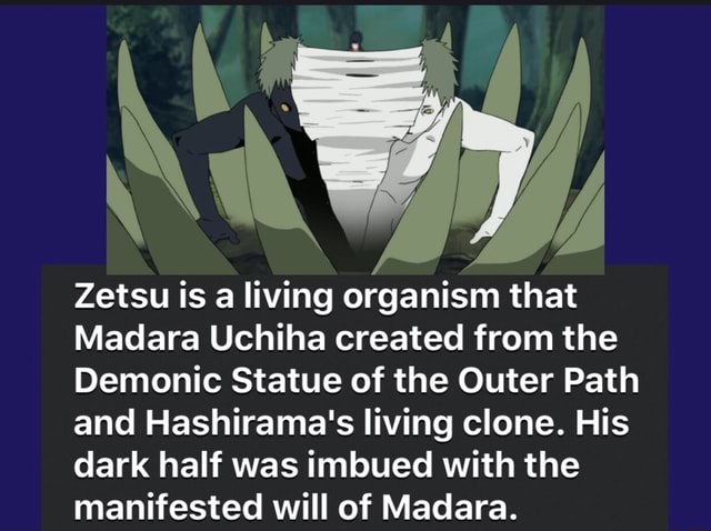 Zetsu is a living organism that Madara Uchiha created from the Demonic ...
