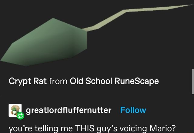 Crypt Rat from Old School RuneScape Follow you're telling me THIS guy's ...