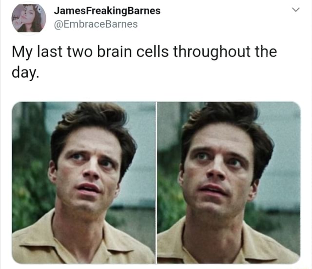 My last two brain cells throughout the day. - iFunny