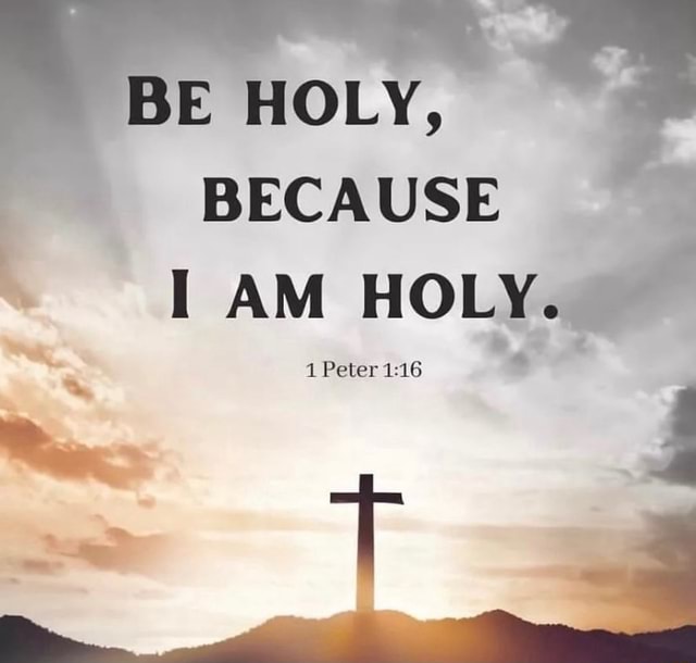 BE HOLY, BECAUSE I AM HOLY 1 Peter - iFunny