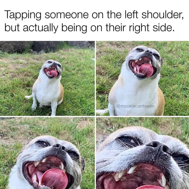 Gotcha. - Tapping someone on the left shoulder, but actually being on ...