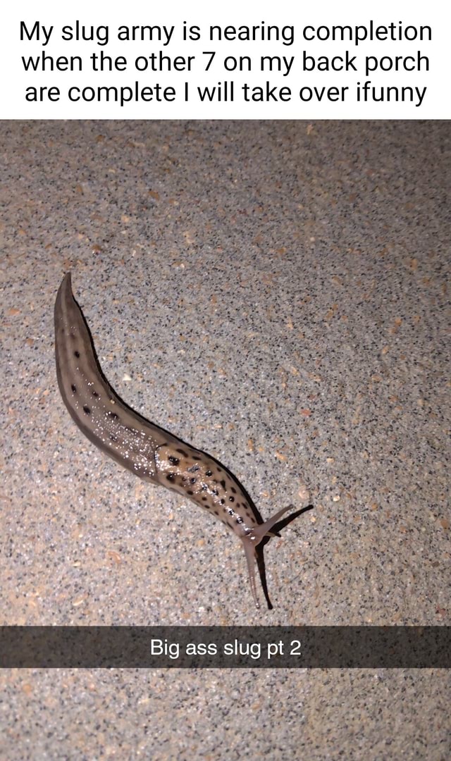 My slug army is nearing completion when the other 7 on my back porch ...