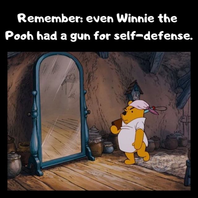 Remember: even Winnie the Pooh had a gun for seIf-defense. - iFunny