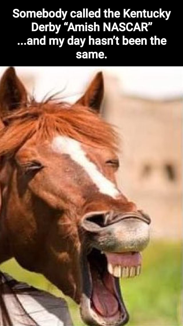 Somebody called the Kentucky Derby "Amish NASCAR" ...and my day hasn't ...