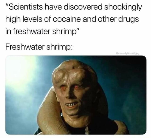 "Scientists have discovered shockingly high levels of cocaine and other ...