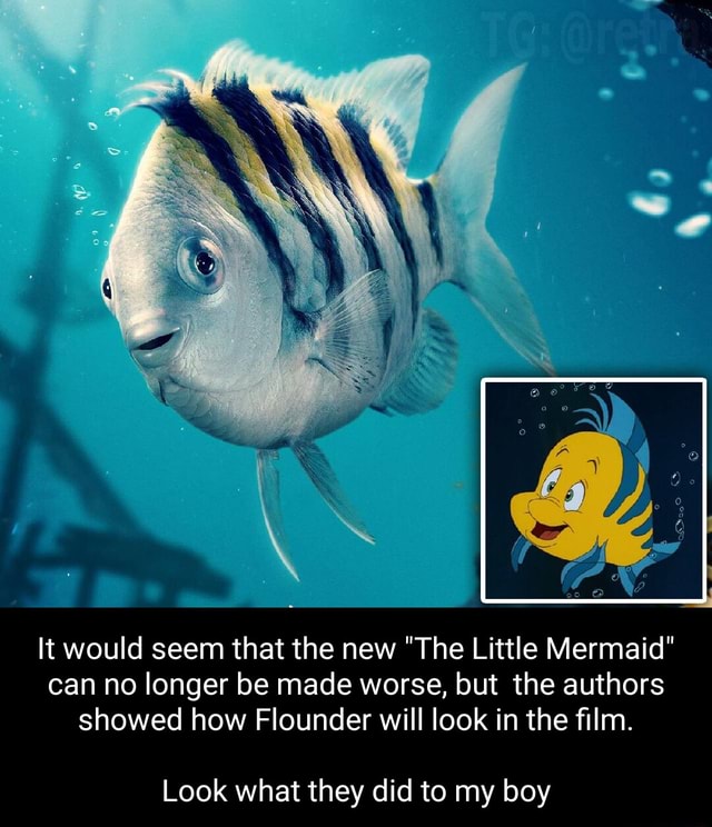 It would seem that the new "The Little Mermaid" can no longer be made ...