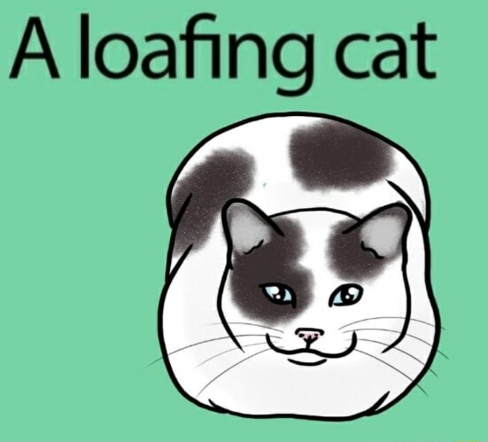 A loafing cat - iFunny