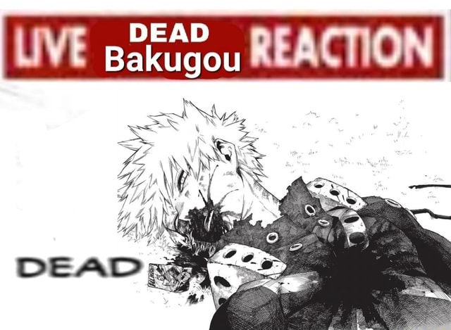 LIVE DEAD Bakugou REACTION - iFunny