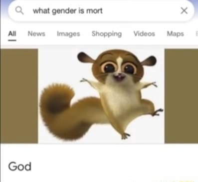 What gender is mort All News images Shopping Videos Maps Ga Video! Maps ...