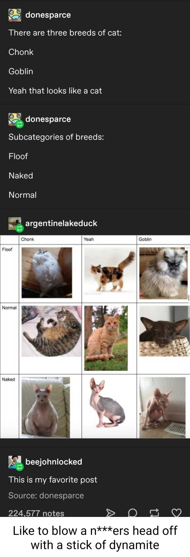 There are three breeds of cat: Chonk Goblin Yeah that looks like a cat ...