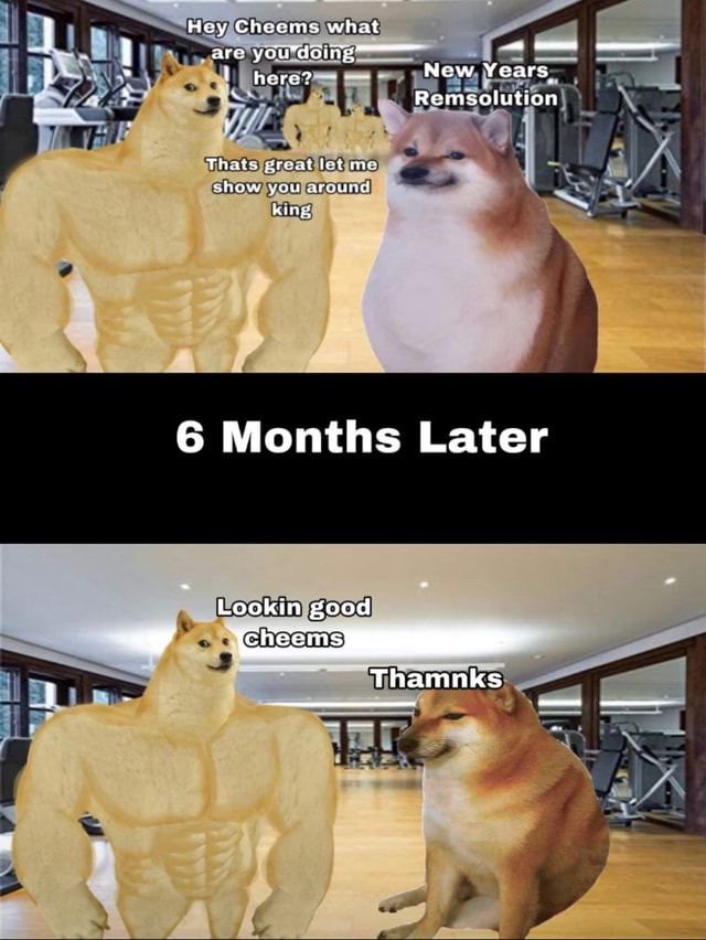 Hey Cheems what are 7 here? New Years Remsolution Thats freat let me ...