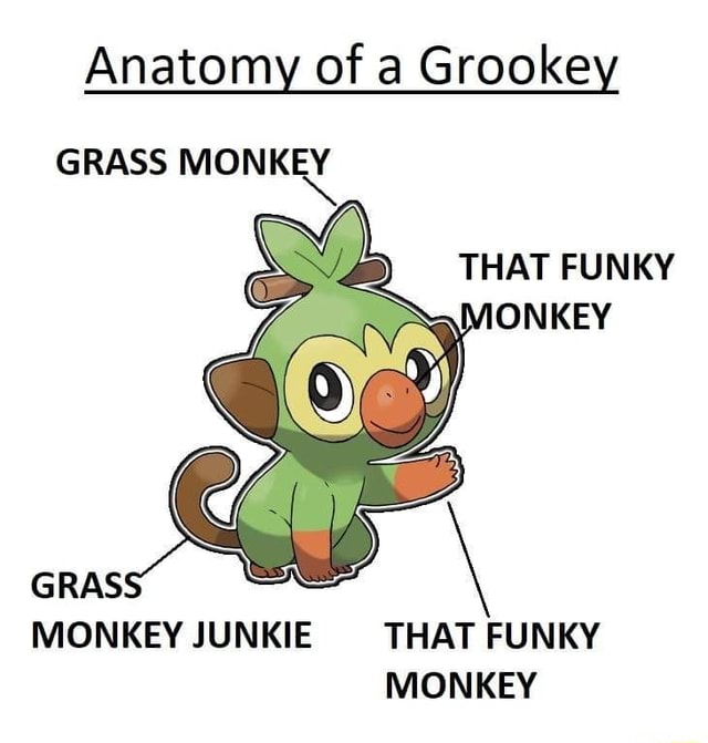 Anatomy of a Grookey GRASS MONKEY THAT FUNKY - )