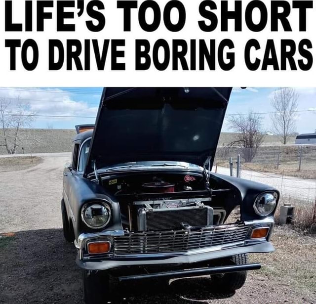 'SS TOO SHOR TO DRIVE BORING CARS - America’s best pics and videos