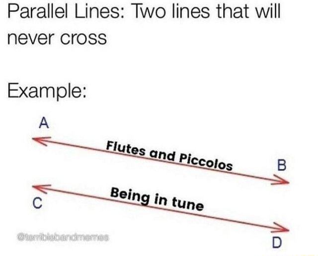 Parallel Lines: Two lines that will never cross - iFunny