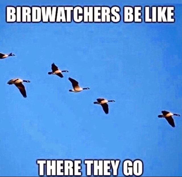 BIRDWATCHERS BE LIKE De THERE THEY GO - iFunny