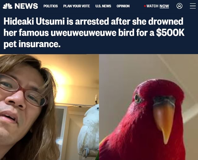 NEWS. 0oouries ptanyourvore uss.NEWs OPINION WATCHNOW Hideaki Utsumi is arrested after she ...