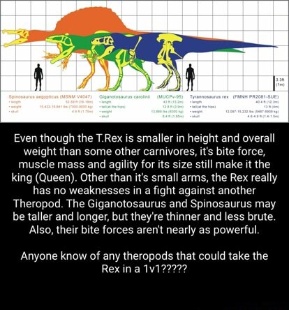 Even though the T.Rex is smaller in height and overall weight than some ...