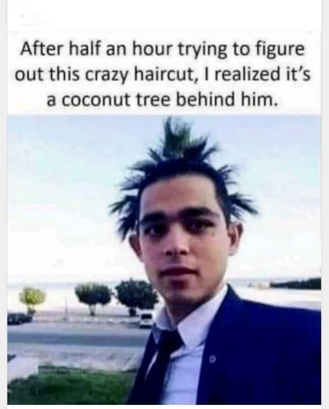 After half an hour trying to figure out this crazy haircut, I realized ...