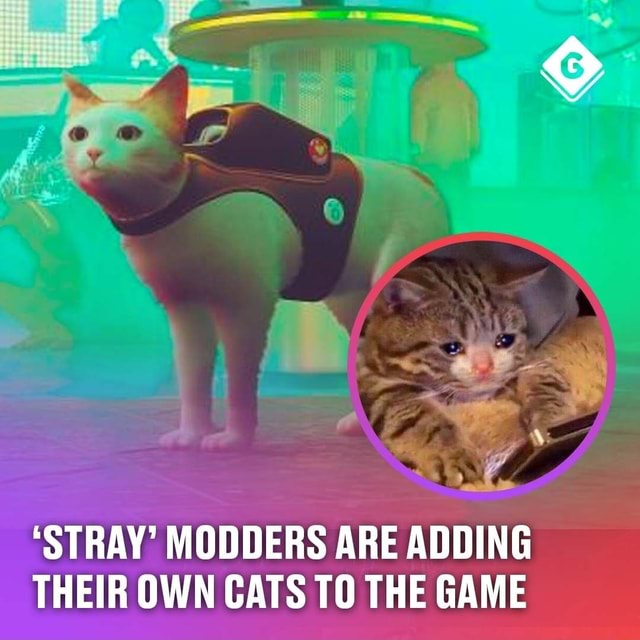 Stray doesn't allow you to change the colour of the cat so modders have ...