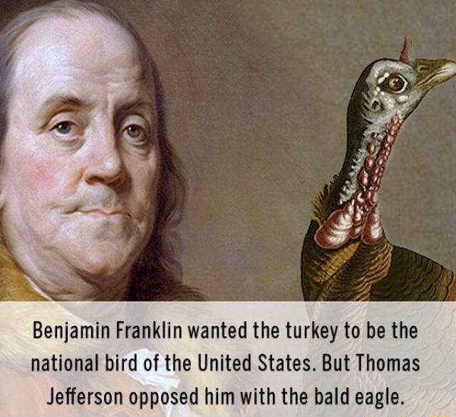 LOL!!! :) - Benjamin Franklin wanted the turkey to be the national bird ...