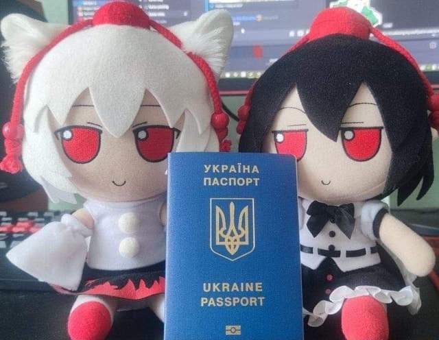 YKPAIHA nacnopt UKRAINE PASSPORT - iFunny