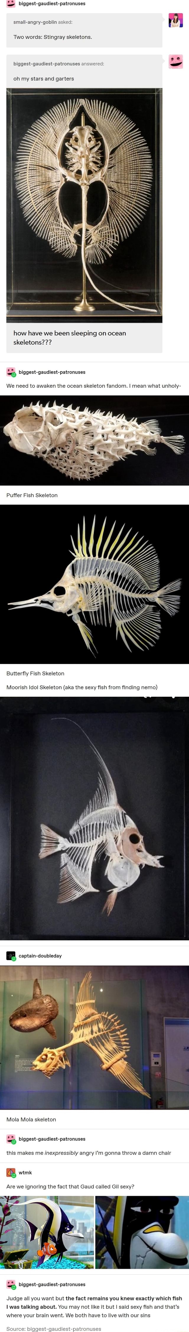 Biggest-gaudiest-patronuses small-angry-goblin a Two words: Stingray ...