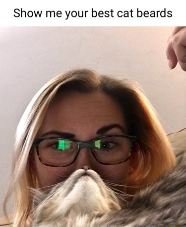 Show me your best cat beards - iFunny