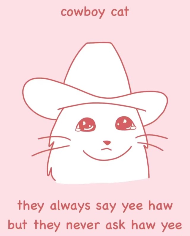 Cowboy cat they always say yee haw but they never ask haw yee - iFunny