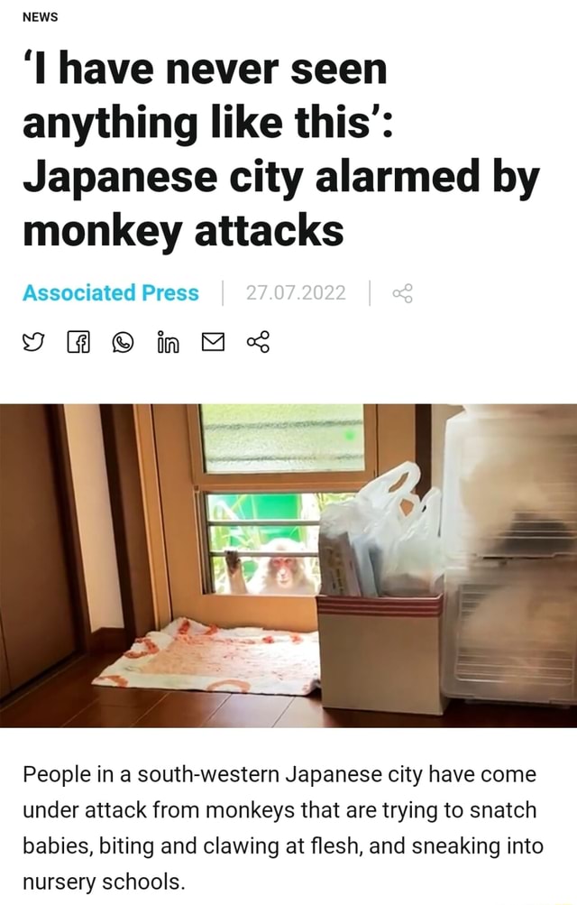 NEWS 'I have never seen anything like this': Japanese city alarmed by ...