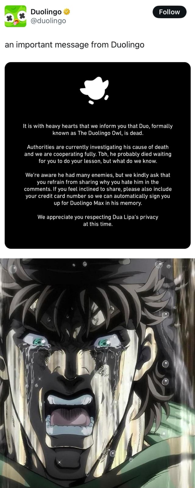 Duolingo an important message from Duolingo It is with heavy hearts ...