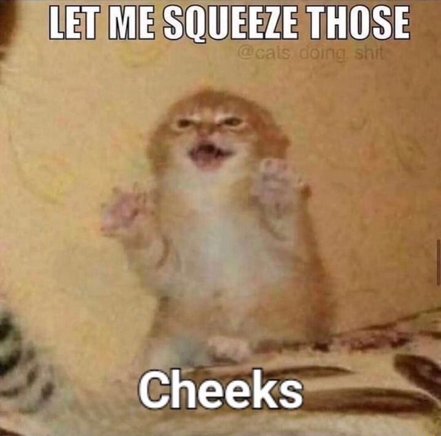 LET ME SQUEEZE THOSE Cheeks - iFunny