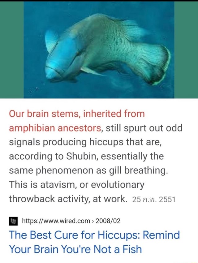Our brain stems, inherited from amphibian ancestors, still spurt out ...